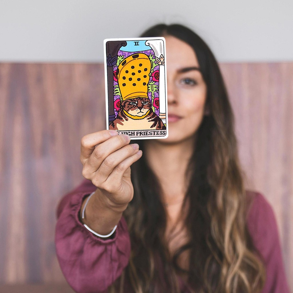 The Original Cat Meme Tarot Deck 22 Cards Cat Meme Tarot Funny Witchy ...