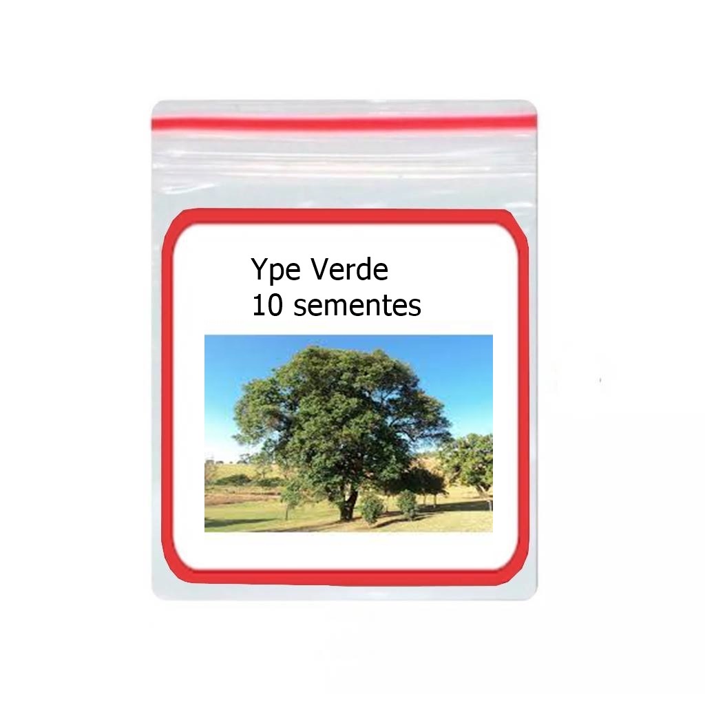 10 Sementes Ype Ipe Verde flor paisagismo | Shopee Brasil
