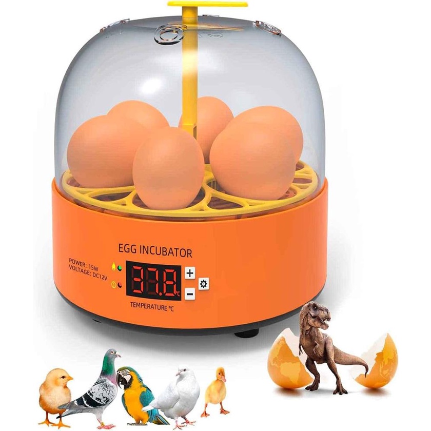 Chocadeira 6 Ovos De Galinha Codorna Passaros Automatica | Shopee Brasil