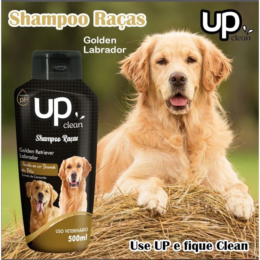 Shampoo para Cachorro Raças Golden - Labrador 500ml UP Clean | Shopee ...