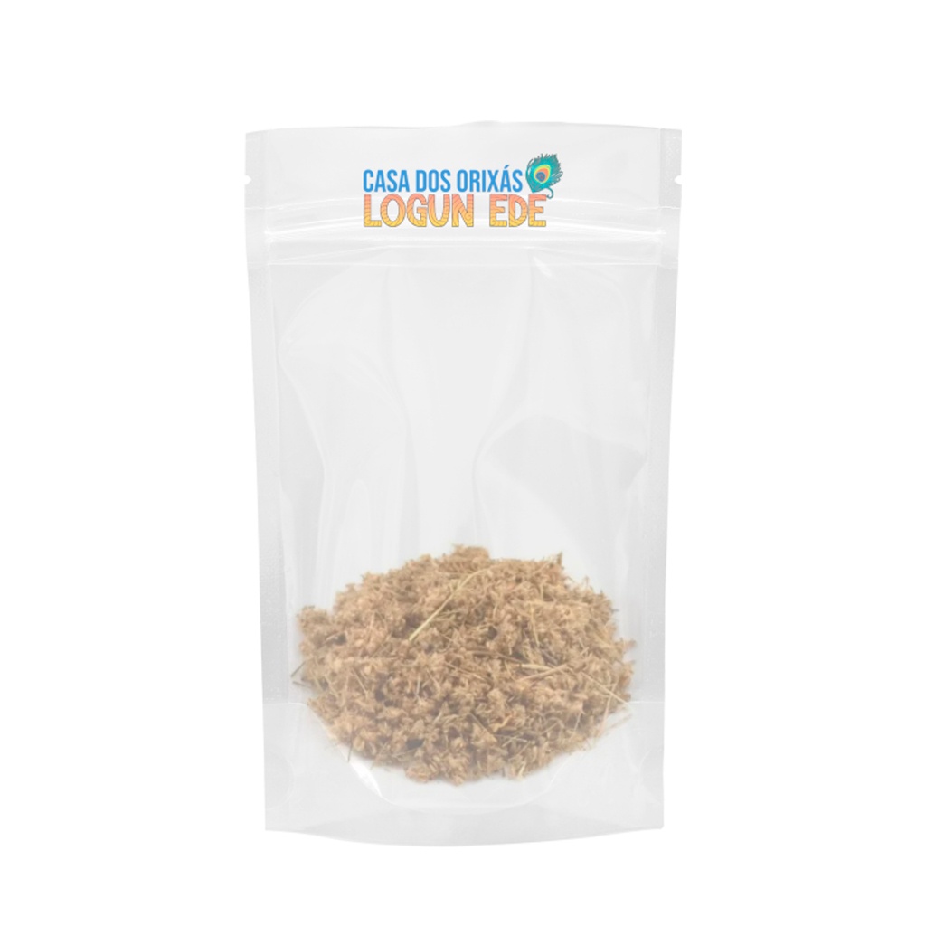 Erva Sete Sangrias 100% Natural Chá 10g | Shopee Brasil