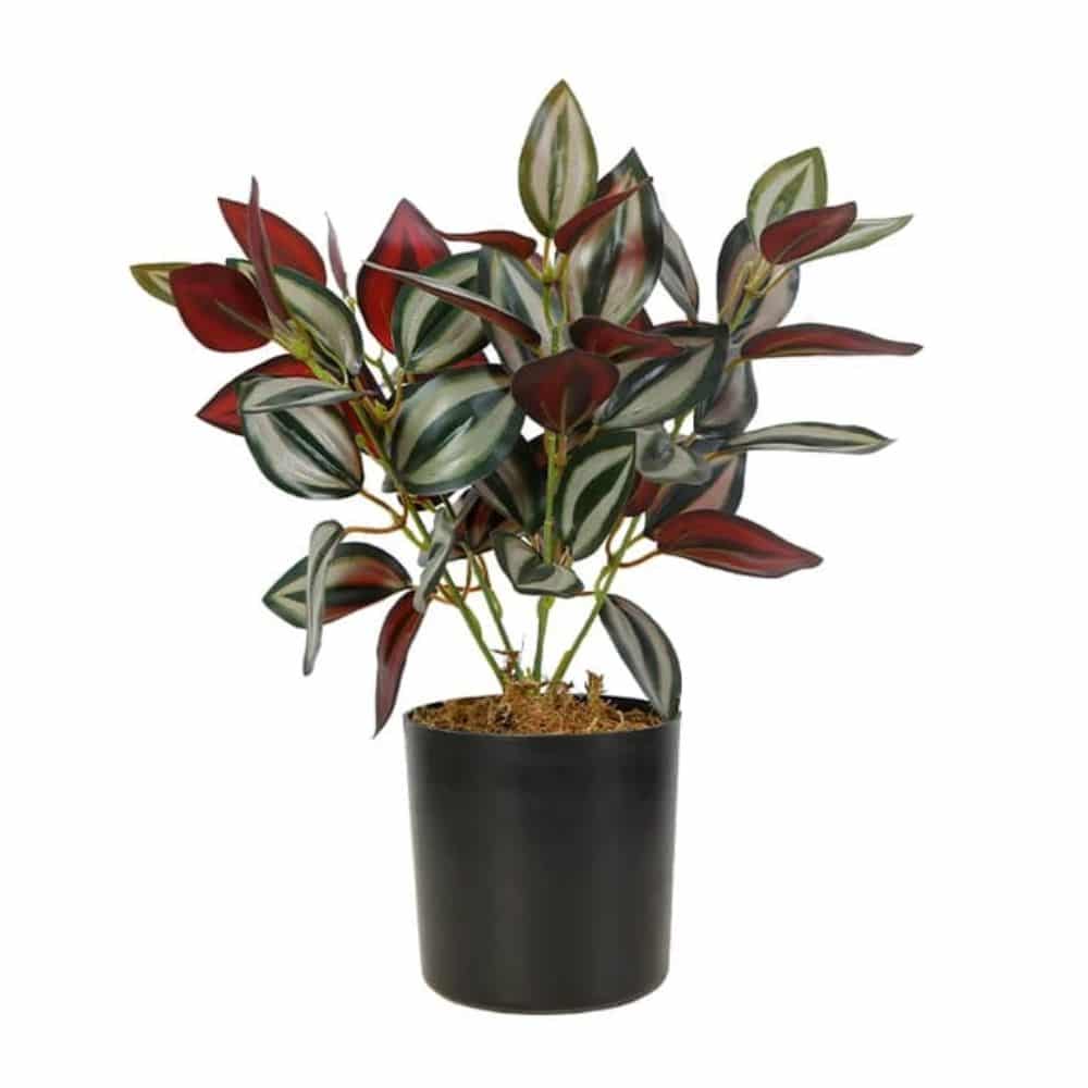 Planta Artificial Tradescantia Zebrina - Lambari Roxo | Shopee Brasil