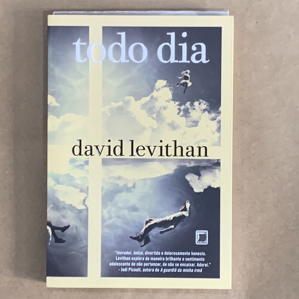 LIVRO TODO DIA - DAVID LEVITHAN | Shopee Brasil