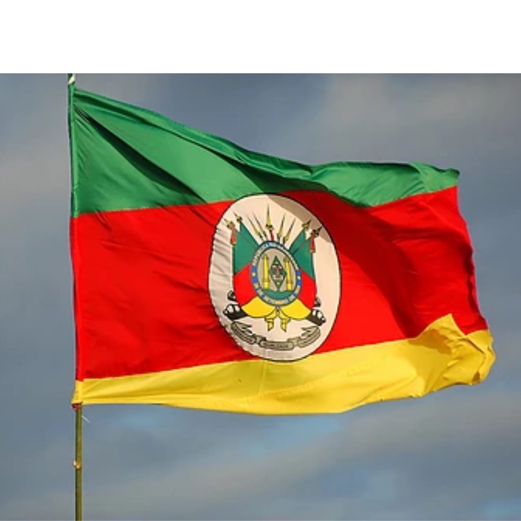 Bandeira Rio Grande Do Sul Poliéster Oficial 90x150cm Estado RS 2025 ...
