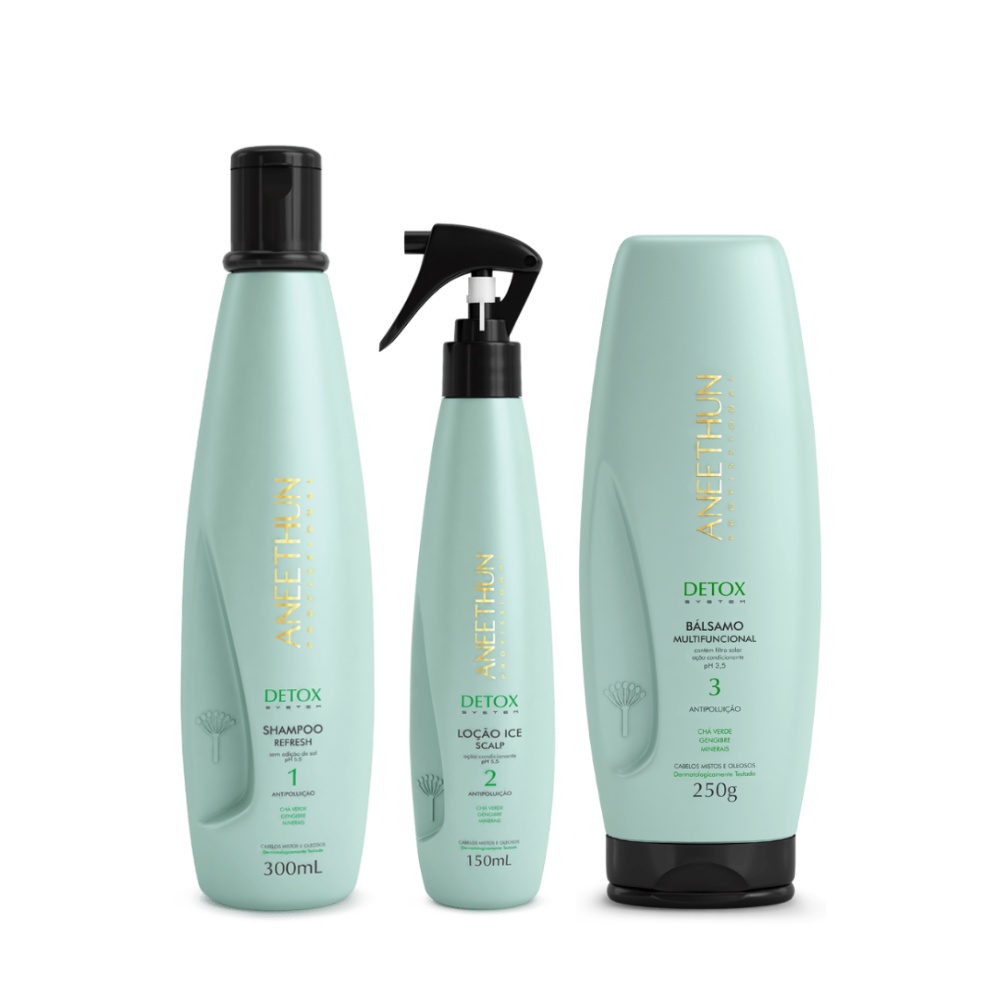 Kit Detox System Shampoo 300mL, Loção 150ml e Bálsamo 250g Aneethun ...