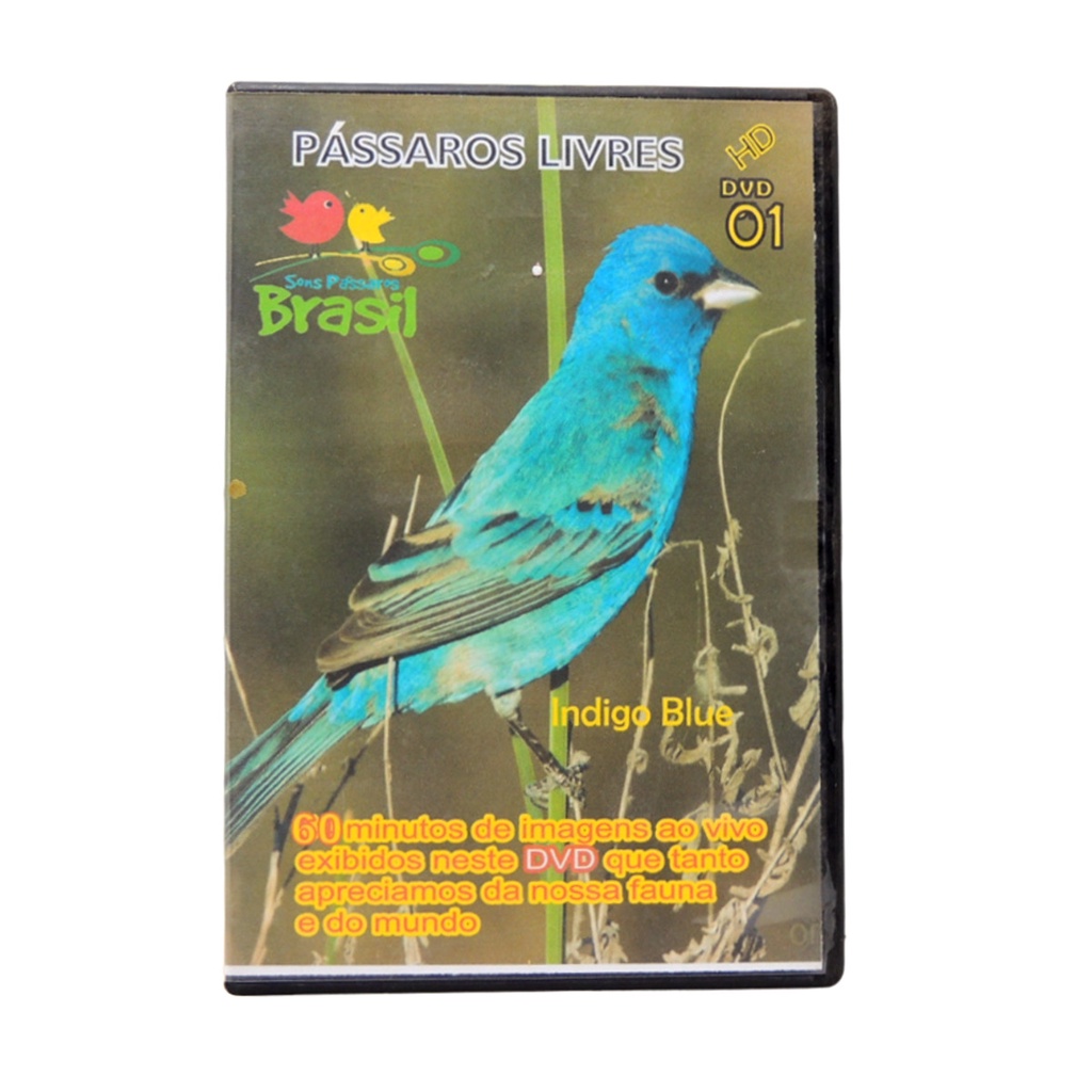 Dvd Canto de Pássaros - Indigo Blue | Shopee Brasil