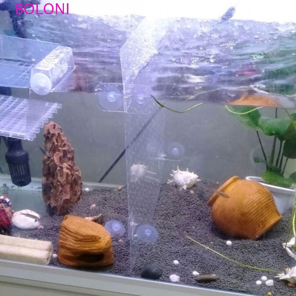 BOLONI Placa De Isolamento De Tanque De Peixe , Divisória Transparente ...