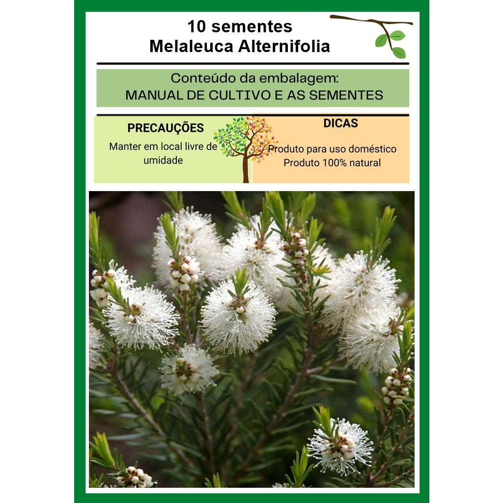 Melaleuca Alternifolia - 10 Sementes Medicinal Tea Tree | Shopee Brasil