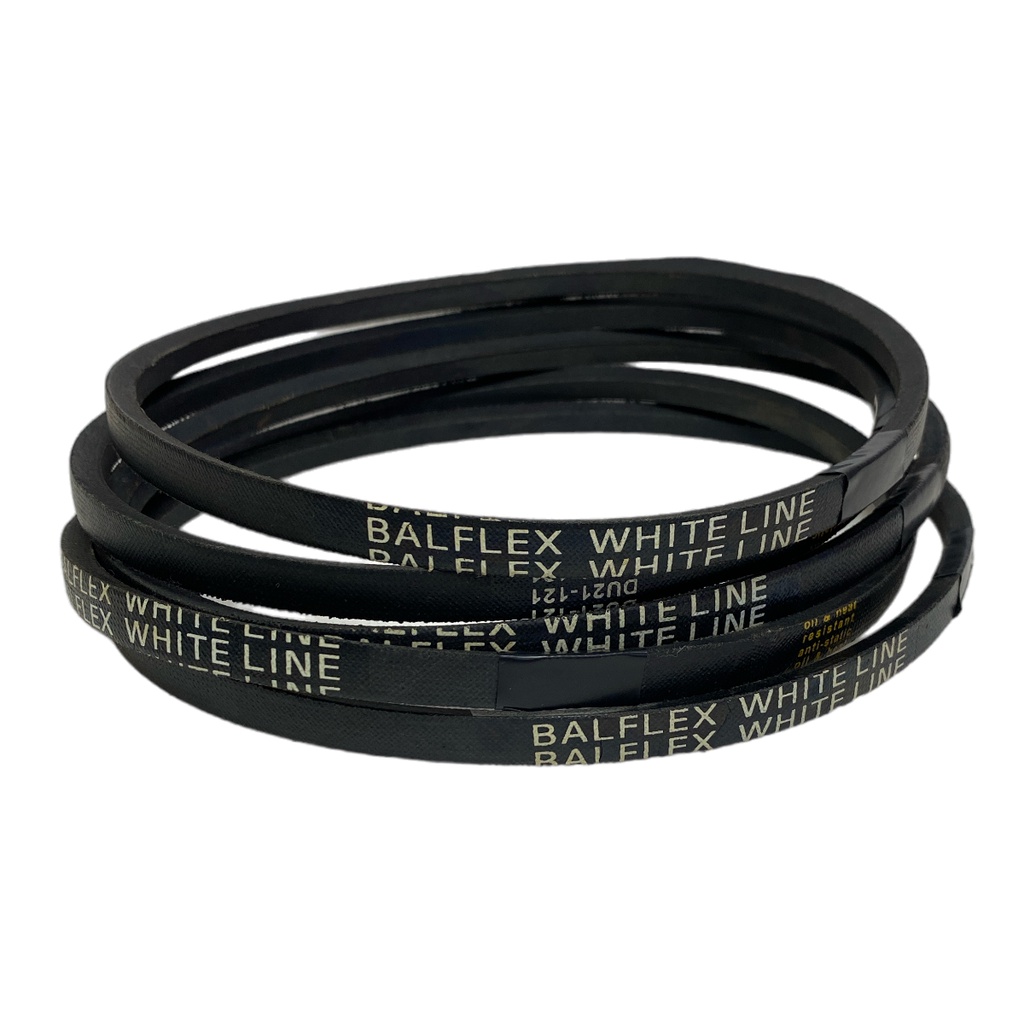 Correia 3l 150 3l150 V Portão Batedeira Lavadora Tanquinho | Shopee Brasil