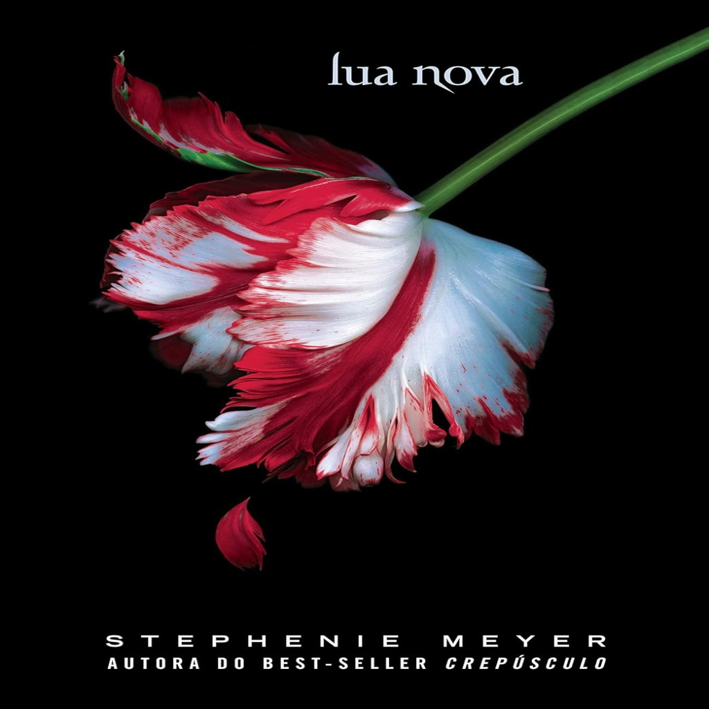 Lua Nova ( Livro 2 ) autor Stephenie Meyer | Shopee Brasil