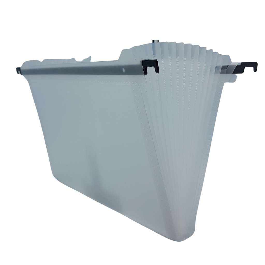Pasta Suspensa C/ 12 Divisórias Arquivo Sanfonada Plástica | Shopee Brasil