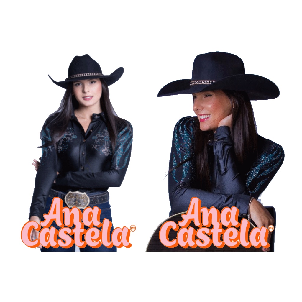 ana castela boiadeira - kit decoração de festa infantil 4 display de ...