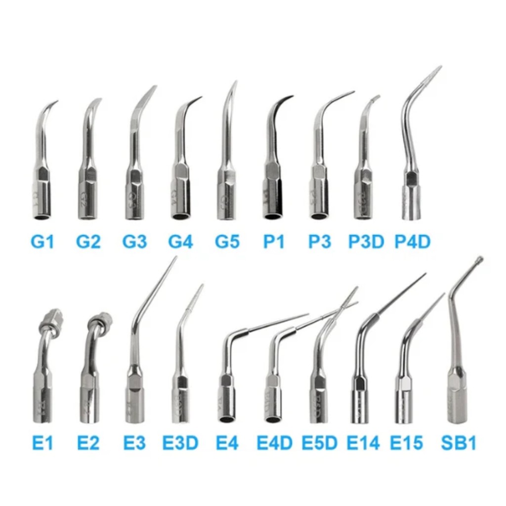 Ponta Tip Inserto Para Ultrassom Universal OLSEN NSK GNA | Shopee Brasil