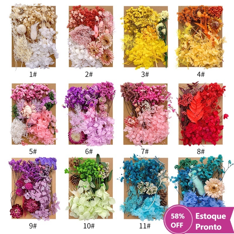 Flor Seca Natural DIY Material Eterna Embalagem Combinação De Grupo Fan ...