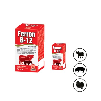 Ferron B12 50Ml Tratamento De Anemias Deficiencia De Ferro | Shopee Brasil