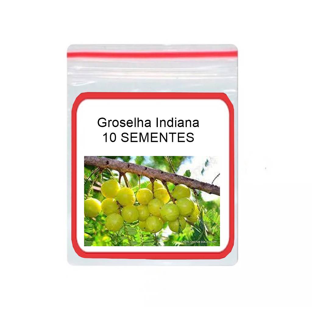 10 Sementes Groselha Indiana Fruta Phyllanthus Emblica Amla ornamental ...