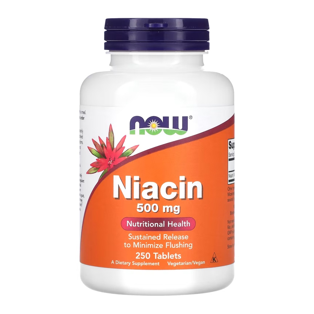 Niacina 500mg Now Foods Niacin Vitamina B-3 250 Tablets | Shopee Brasil