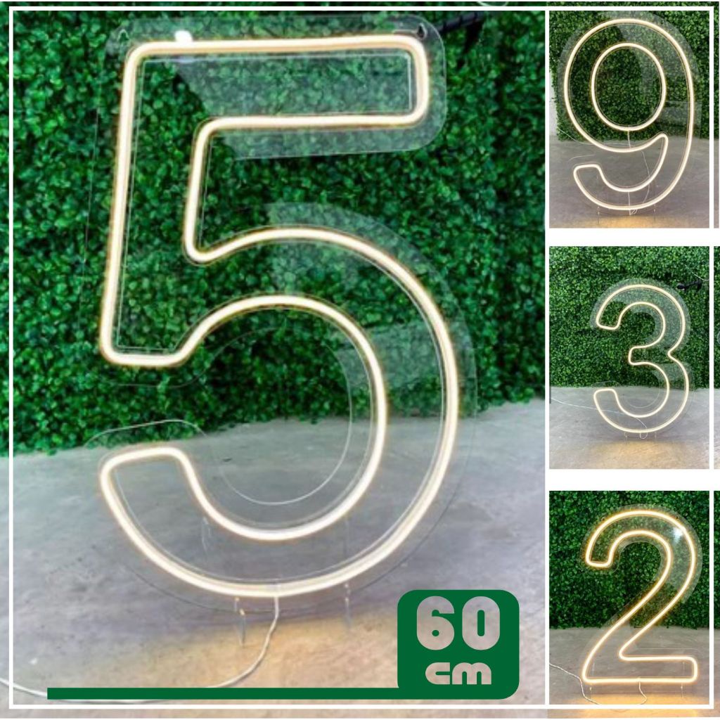 PLACA PAINEL LETREIRO LUMINOSO LED NEON - NUMERO 60 cm | Shopee Brasil