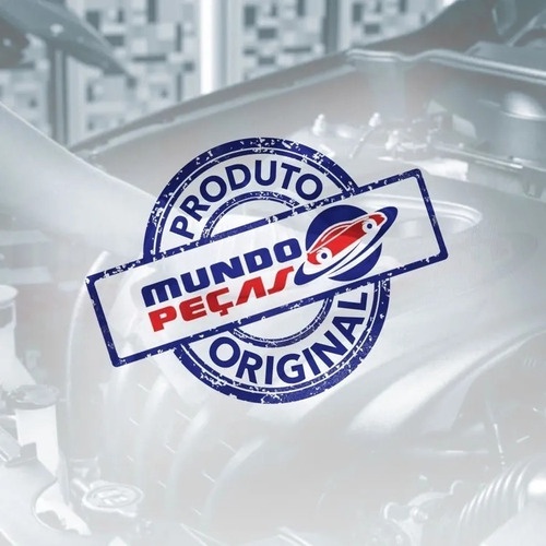 Descarbonizante Car 80 Limpa Bico Injetor E Carburador 300ml 230g | Shopee Brasil