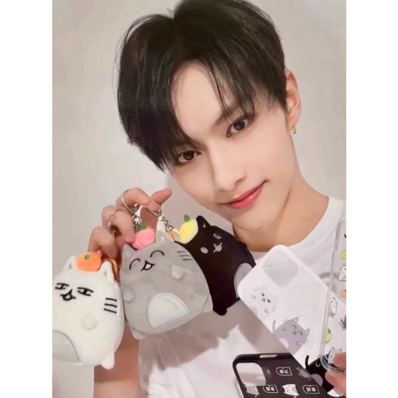 Kpop Seventeen JUN Gato Líquido FIFI Cat Doll Bag Chaveiro De Encanto ...