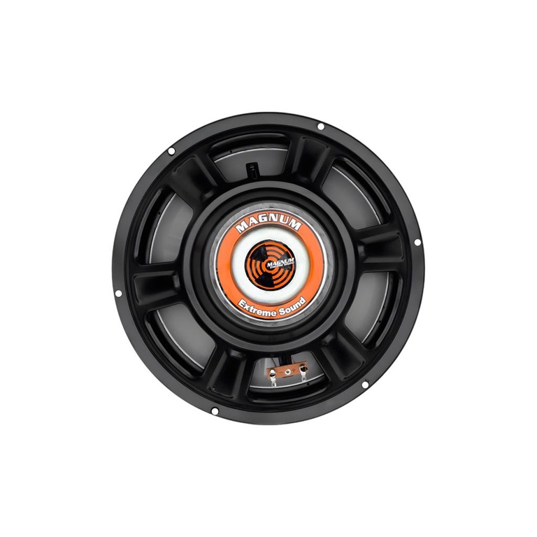 Alto Falante Woofer Magnum 12 Polegadas 100w RMS Cone Seco | Shopee Brasil