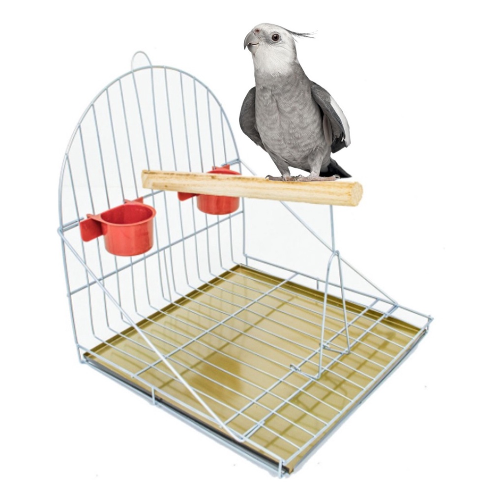 Poleiro Simples Fixo Maricata Calopsita Periquito Manso | Shopee Brasil