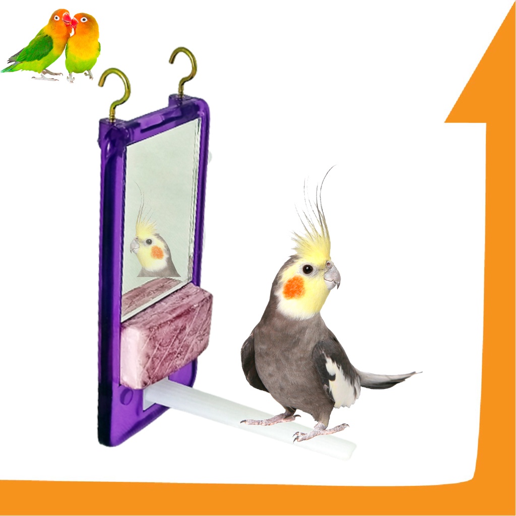 Brinquedo Bica Bica C/ Pedra de Calcio e Espelho - Calopsita , passaros e aves diversas | Shopee ...