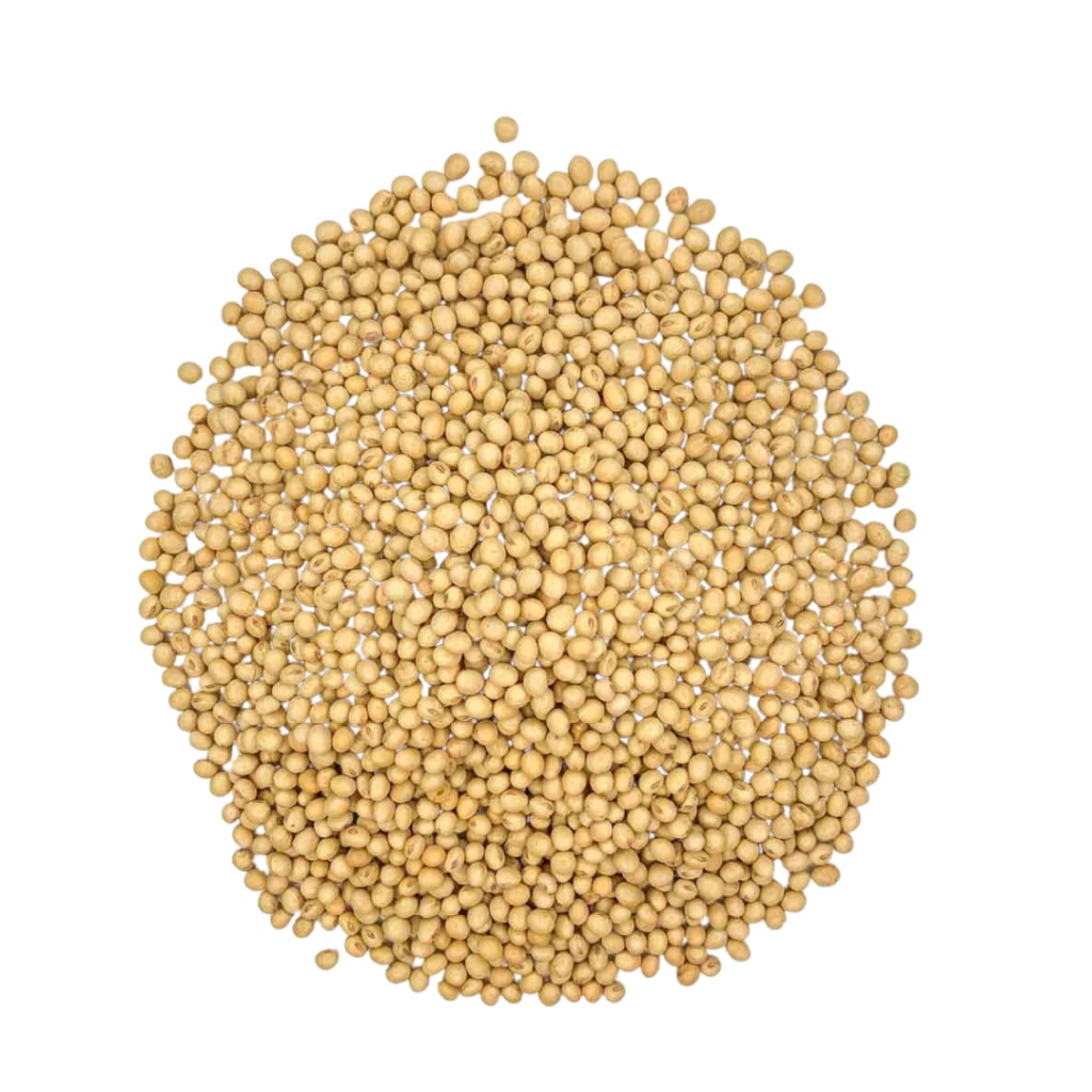 Soja em Grãos 1Kg Ou 500g | Shopee Brasil