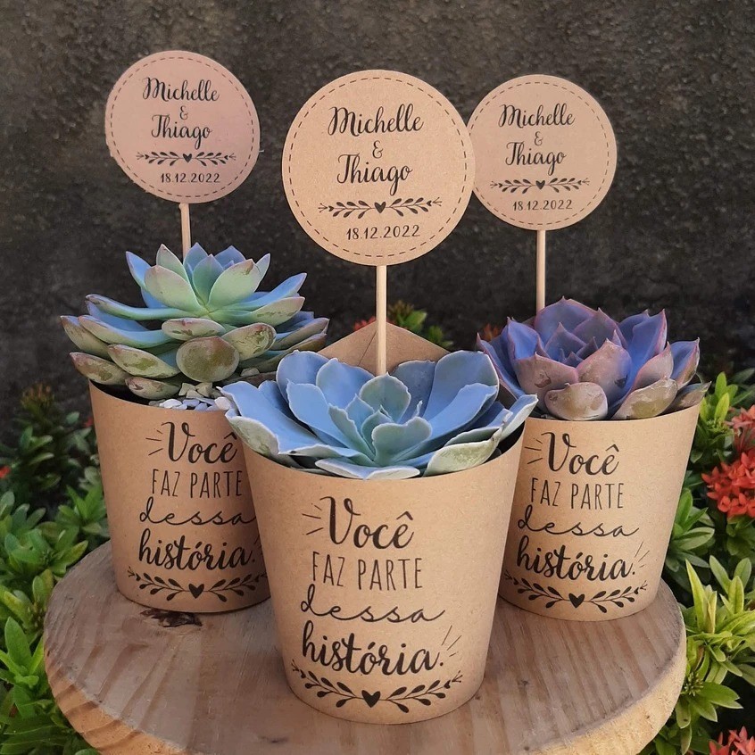 Rótulos para Suculentas (+Tags Modelo Padrão ou Personalizado) | Shopee ...