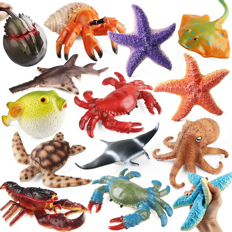 Animais oceânicos Tubarão-baleia Megalodon Caranguejo Starfish Octopus ...