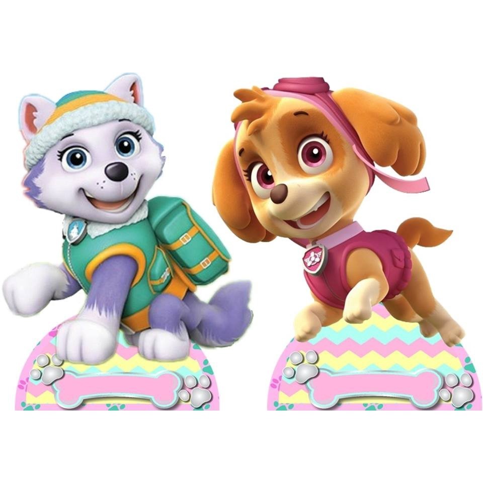 sky e everest kit decoração de festa infantil 4 display de 20cm ...