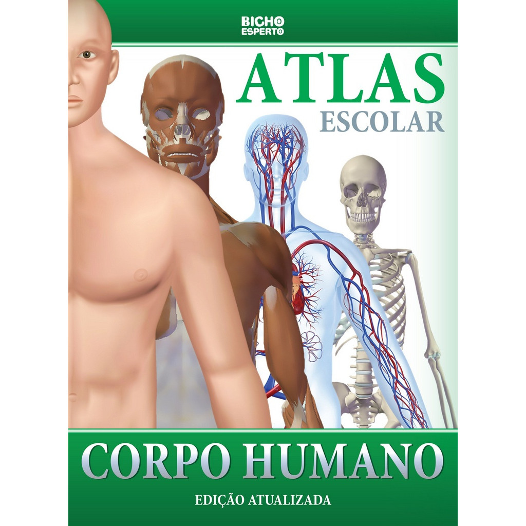 Atlas Escolar do Corpo Humano Colorido - Anatomia | Shopee Brasil