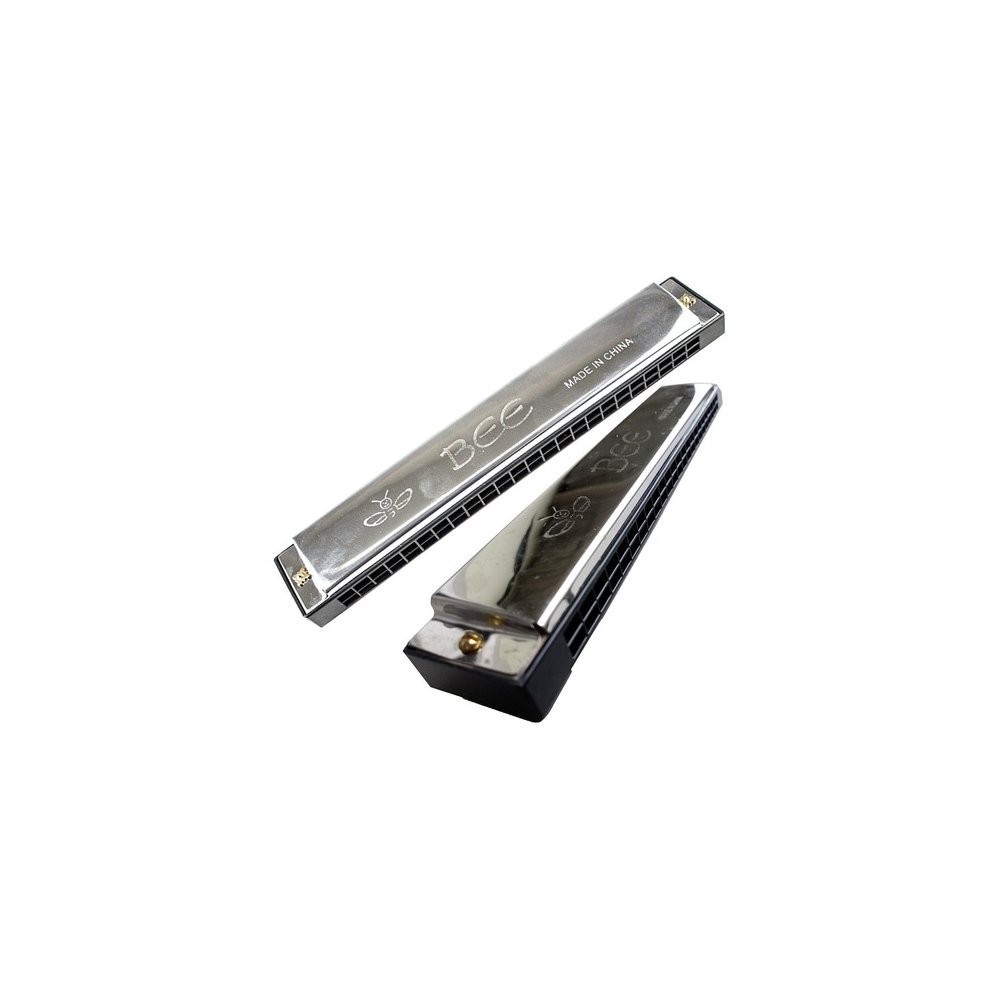 Gaita De Boca Instrumento Harmônica Bee 48 Furos Prata | Shopee Brasil