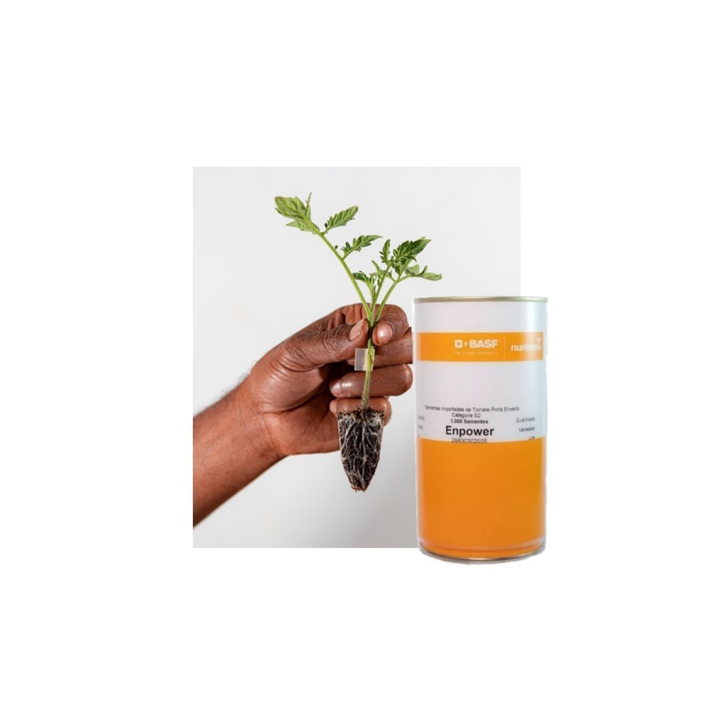 Sementes Porta Enxerto Nunhems Enpower 1.000 Sementes | Shopee Brasil