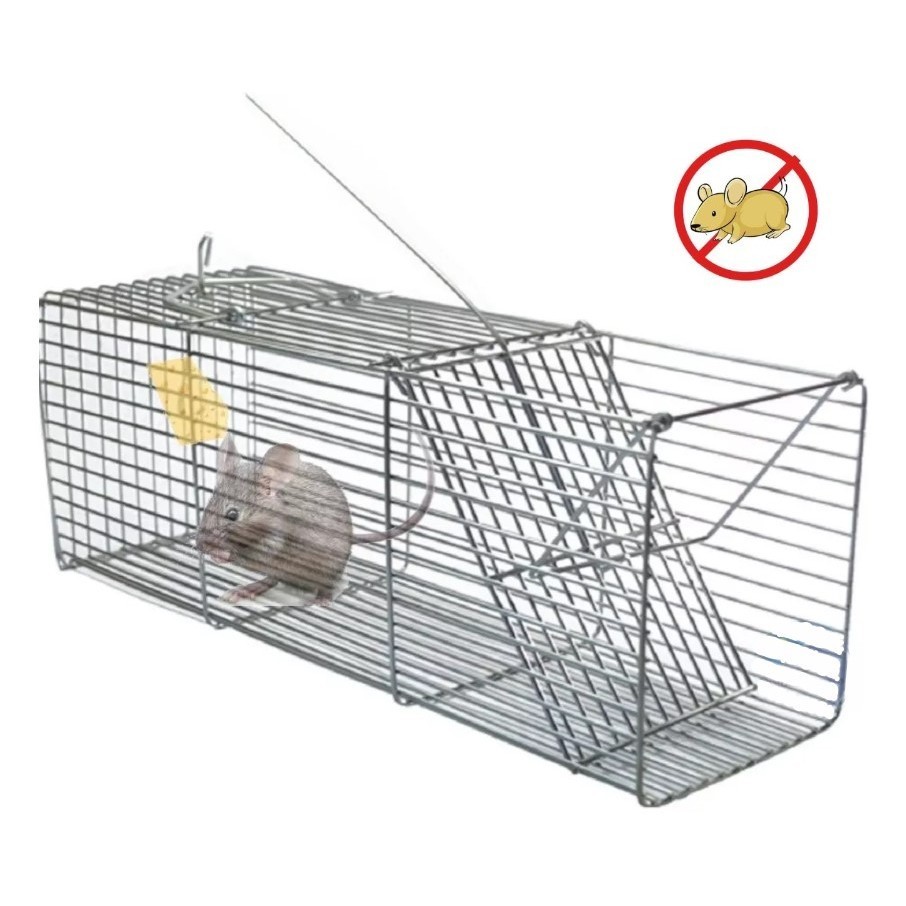 Ratoeira Armadilha Para Ratos Camundongos Gaiola Aberta Com Trava ...