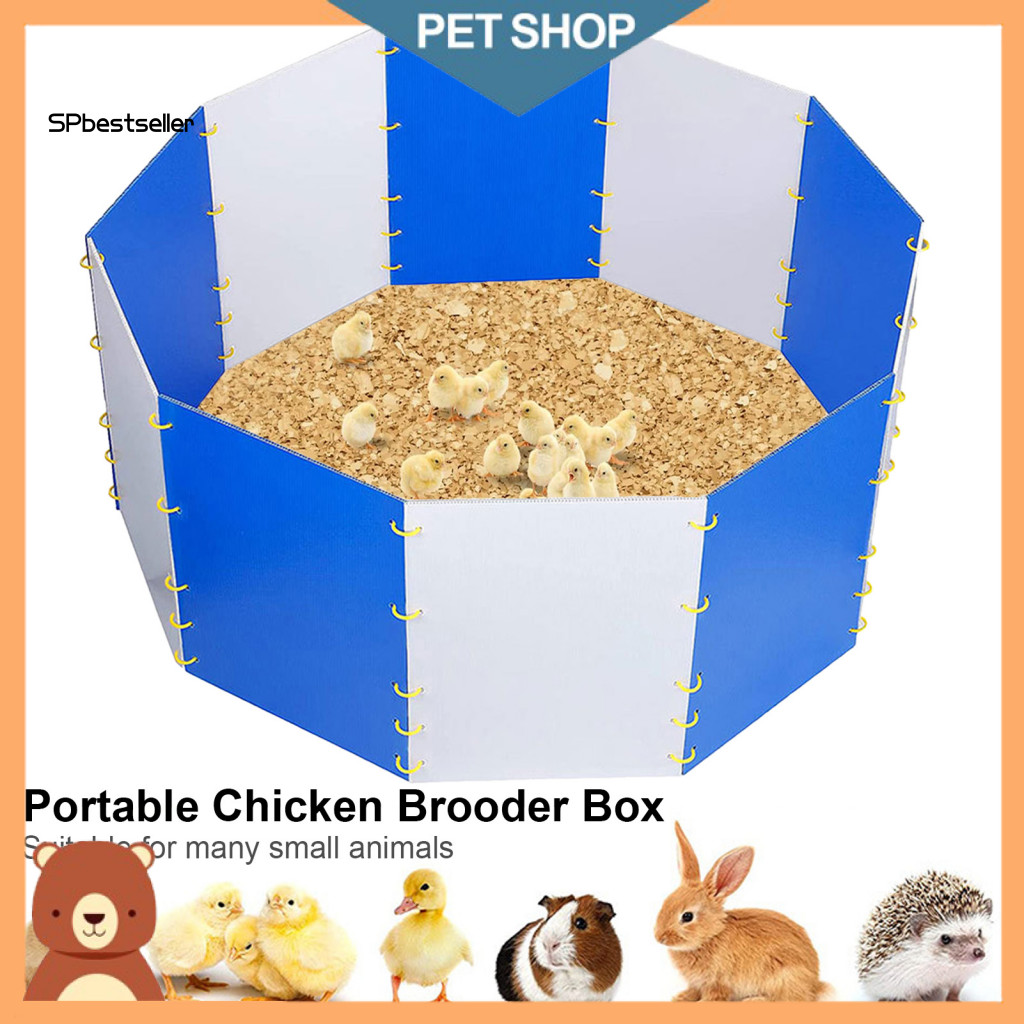 Sp Chick Brooding Box Caixa De Brooder De Frango Portátil Com Furos ...