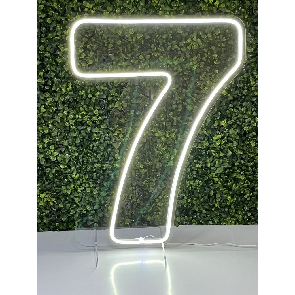 Número Led Neon 50cm de 0 ao 9 Acrílico Aniversários- 5 unidades | Shopee Brasil