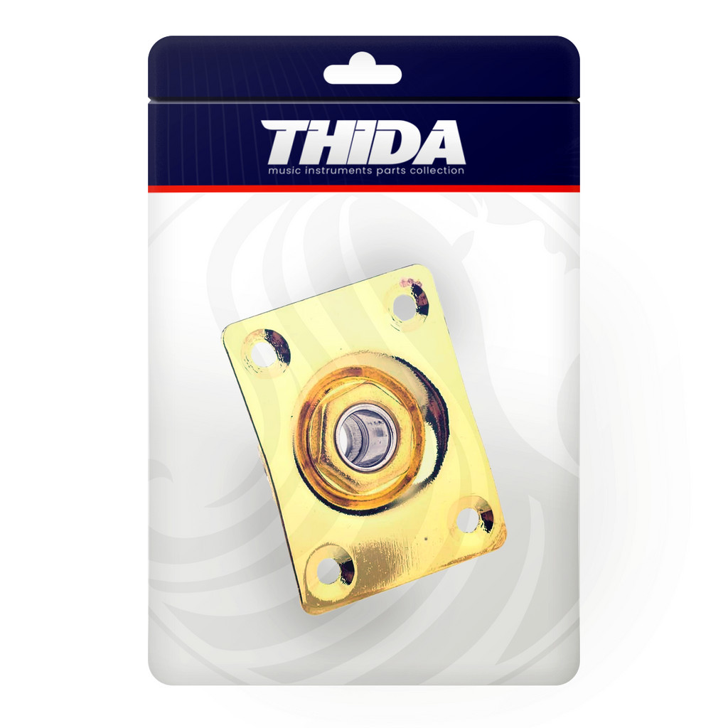 Jack Plate Retangular Curvo Dourado Telecaster Com Jack Les Paul ...