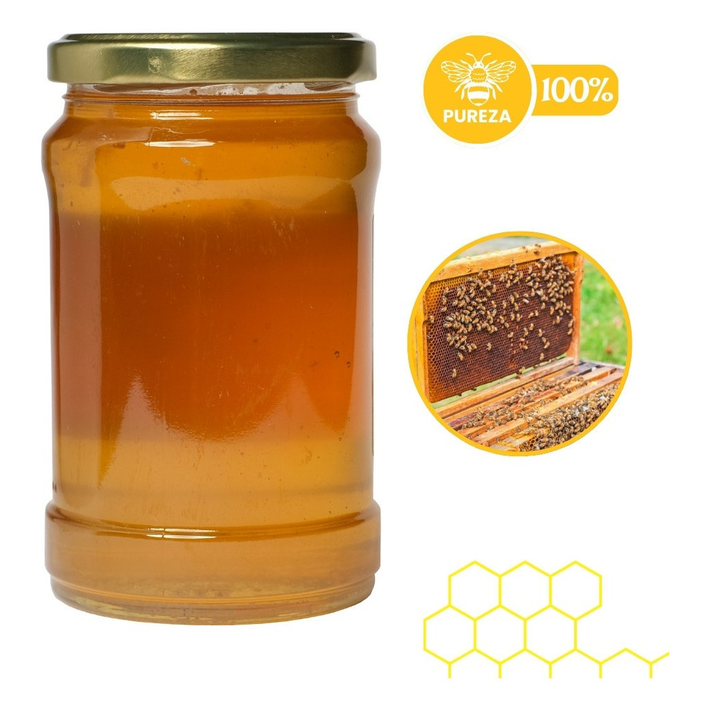Mel Puro De Abelhas Europa - Qualidade Premium - Pote 1 Kg | Shopee Brasil