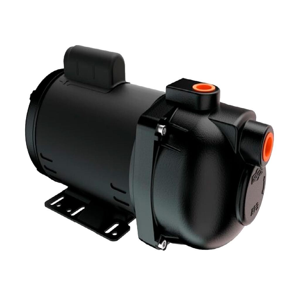 Bomba Dágua Autoaspirante 2cv Dancor AP-3c Motor Weg Bivolt - Escorrega ...