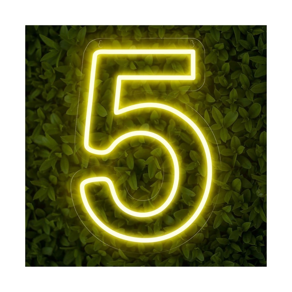 Painel Led Neon Número Luminoso 5 Cinco 60cm Decoração Festa | Shopee ...
