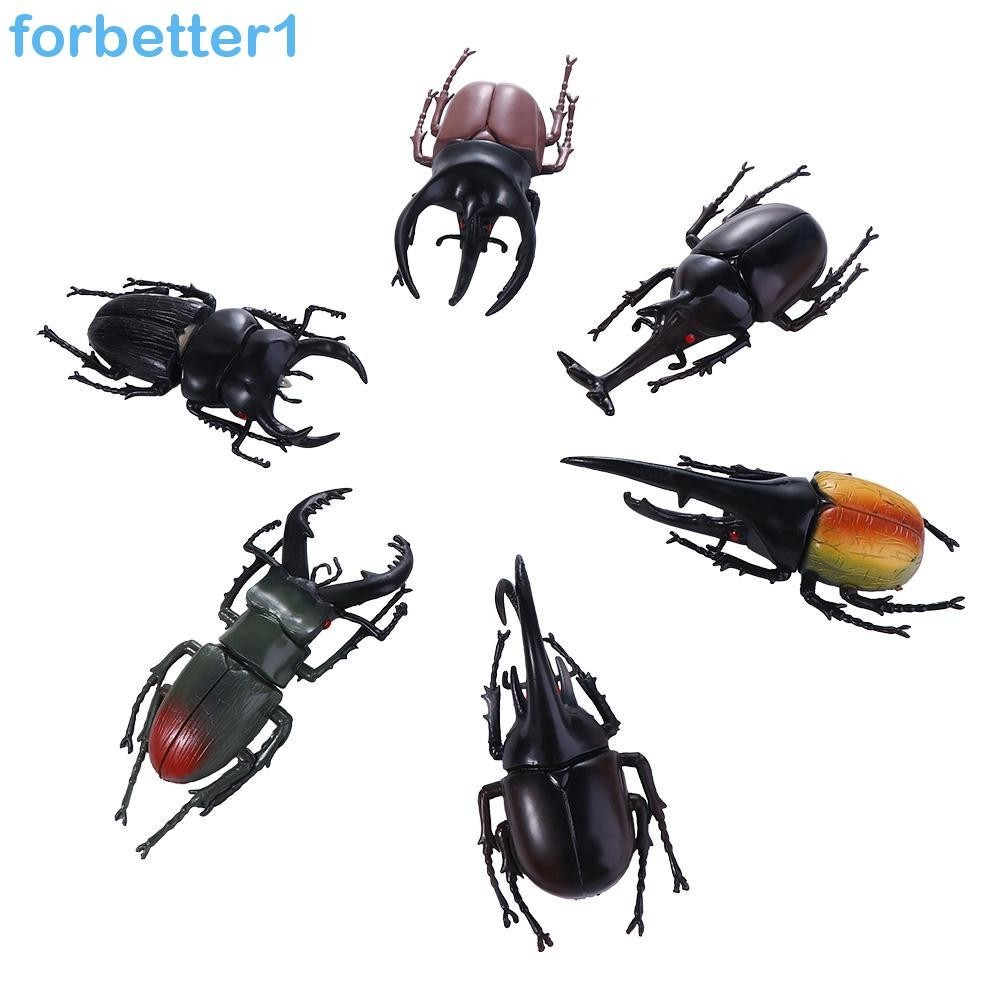 FORBETTER Simulação De Carocha Ciência Do Brinquedos Insetos Animais De ...