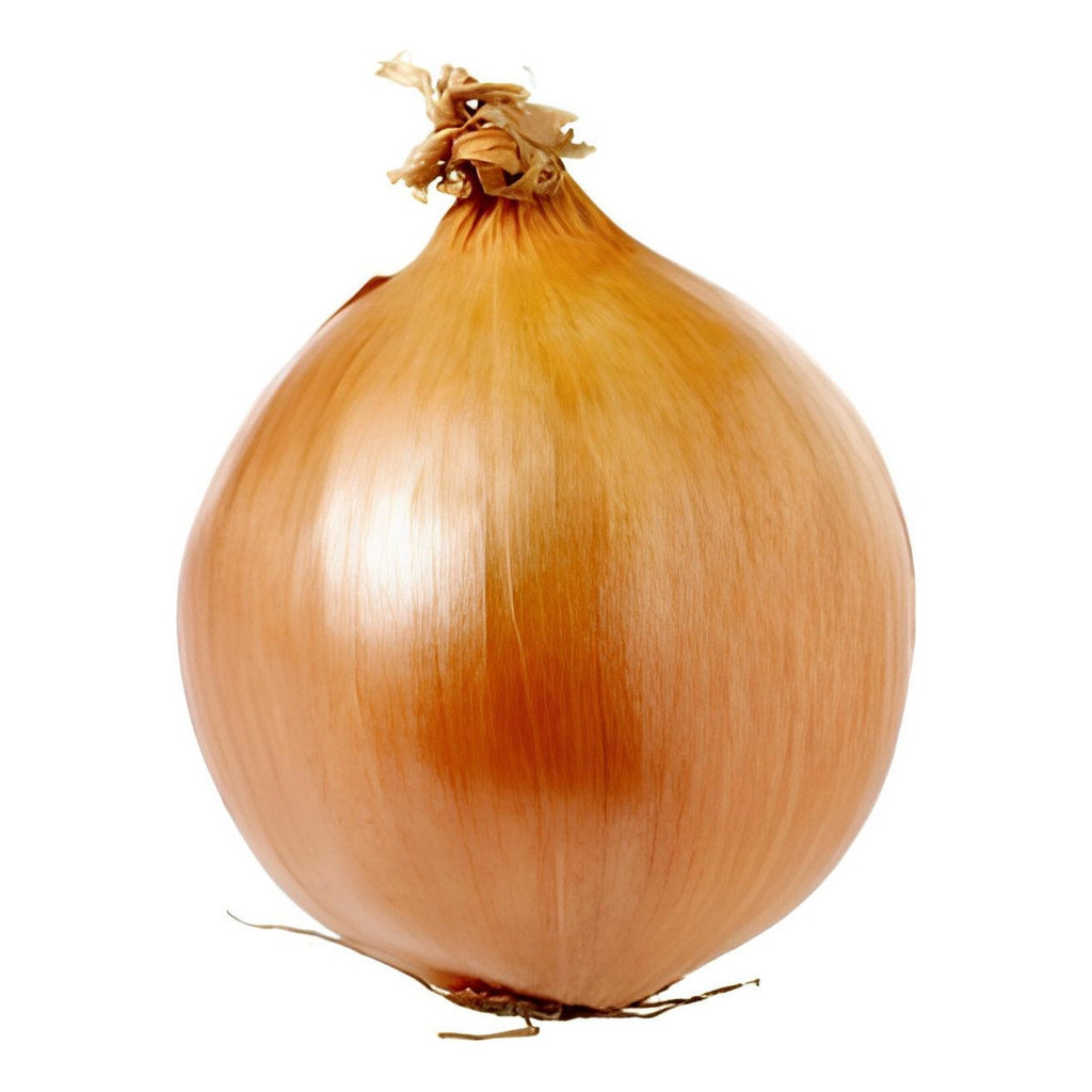 Cebola Nacional Direto Do Produtor 500 G | Shopee Brasil