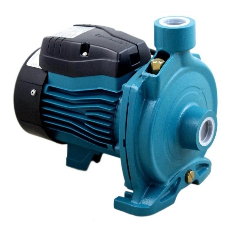 Motobomba Centrifuga Lepono Acm75 1,0 Hp | Shopee Brasil