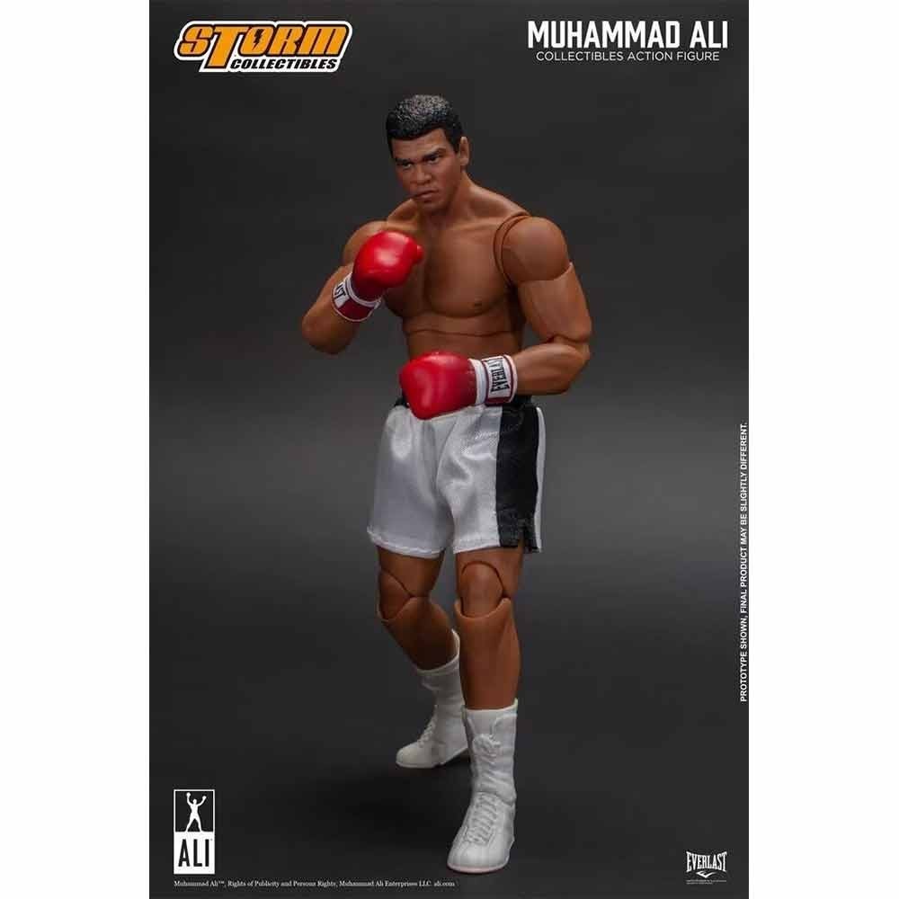 Figma ST Boxing Champion 1/12 Muhammad Ali Mike Tyson Articulado Figure Collection Model Gifts ...