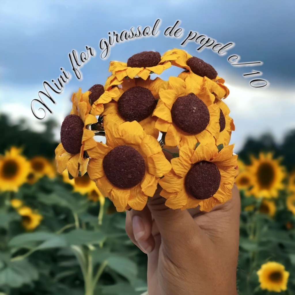 Mini Flor Girassol Papel C/ 10 Unid | Shopee Brasil