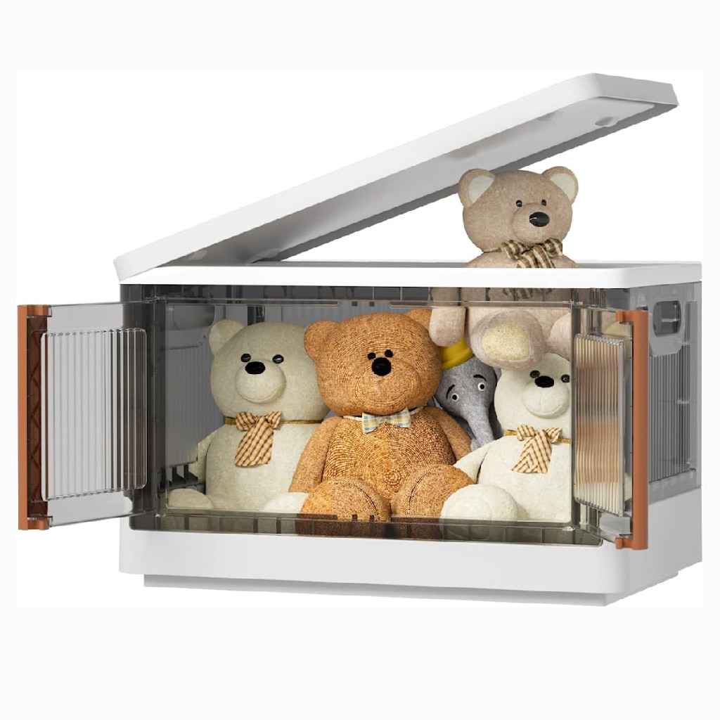 Caixa Organizadora Frática | Shopee Brasil