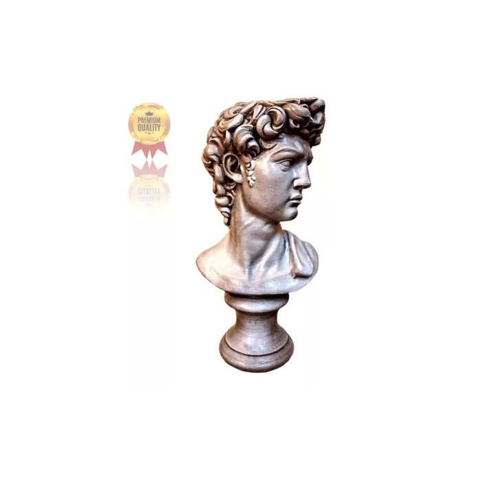 Estátua Busto Grego David De Michelangelo 41 Cm Preto e Branco | Shopee ...