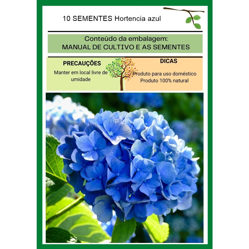 Hortencia azul 10 sementes flor Selecionadas | Shopee Brasil