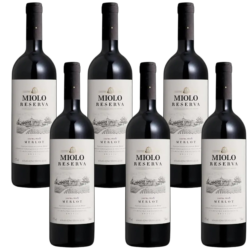 CX 6 VINHO MIOLO RESERVA MERLOT TINTO SECO 750ML | Shopee Brasil